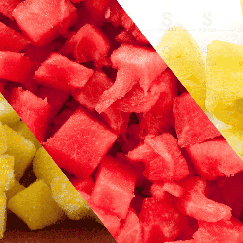 SALAGRI Frozen Mixed Fruit Smoothie – 100% Natural