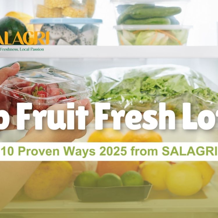 Premium IQF Mango – Frozen Mango Chunks | SALAGRI