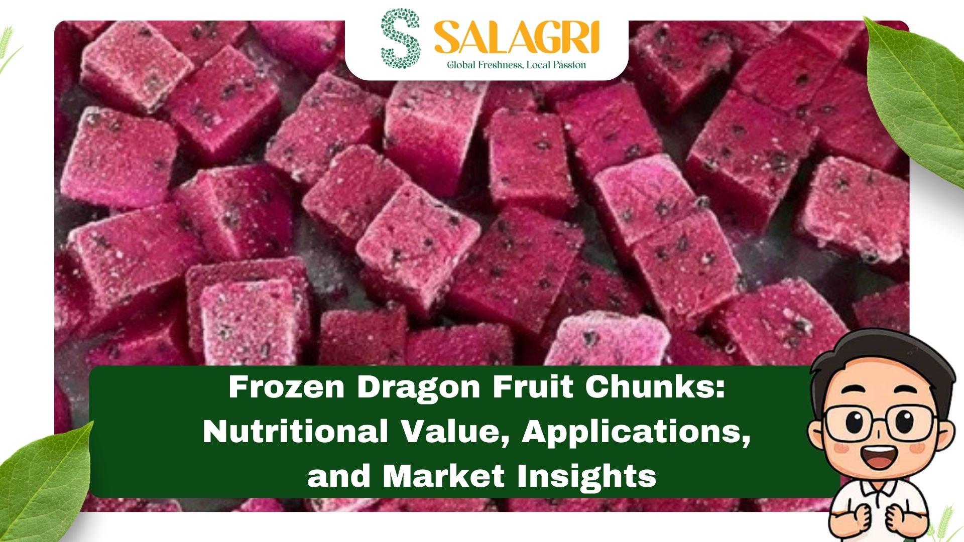 Frozen Dragon Fruit Chunks: Nutritional Value, Applications